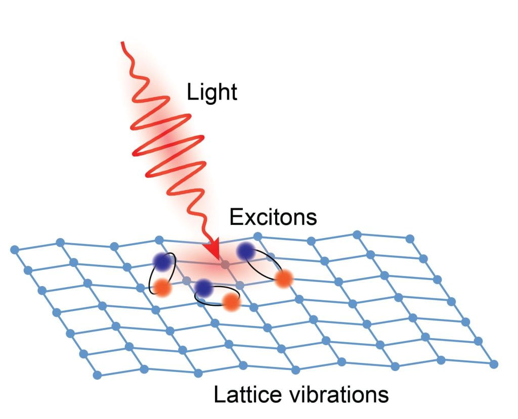 Exciton-phonon coupling tutorial | Claudio Attaccalite's Homepage Exciton-phonon coupling tutorial | Claudio Attaccalite's Homepage
